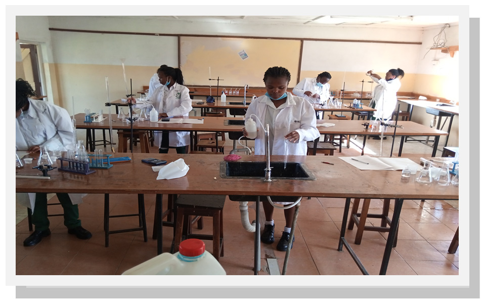 Senior School | Busara Forest View Academy