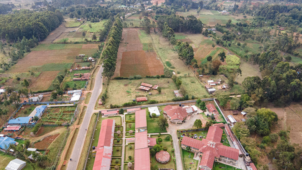 Gallery | Busara Forest View Academy